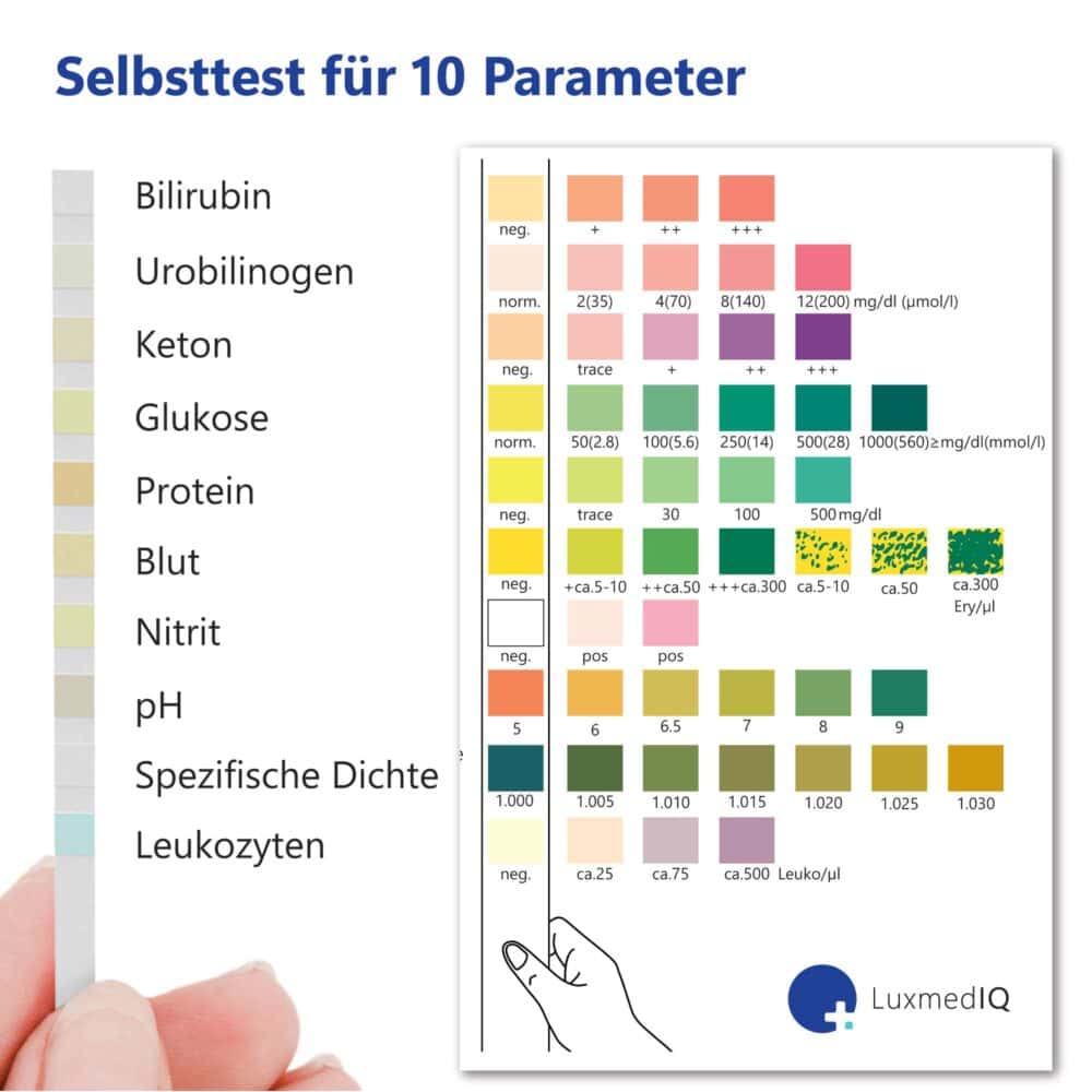 Urin Gesunheitstest für 10 Parameter 🩺- LuxmedIQ.de