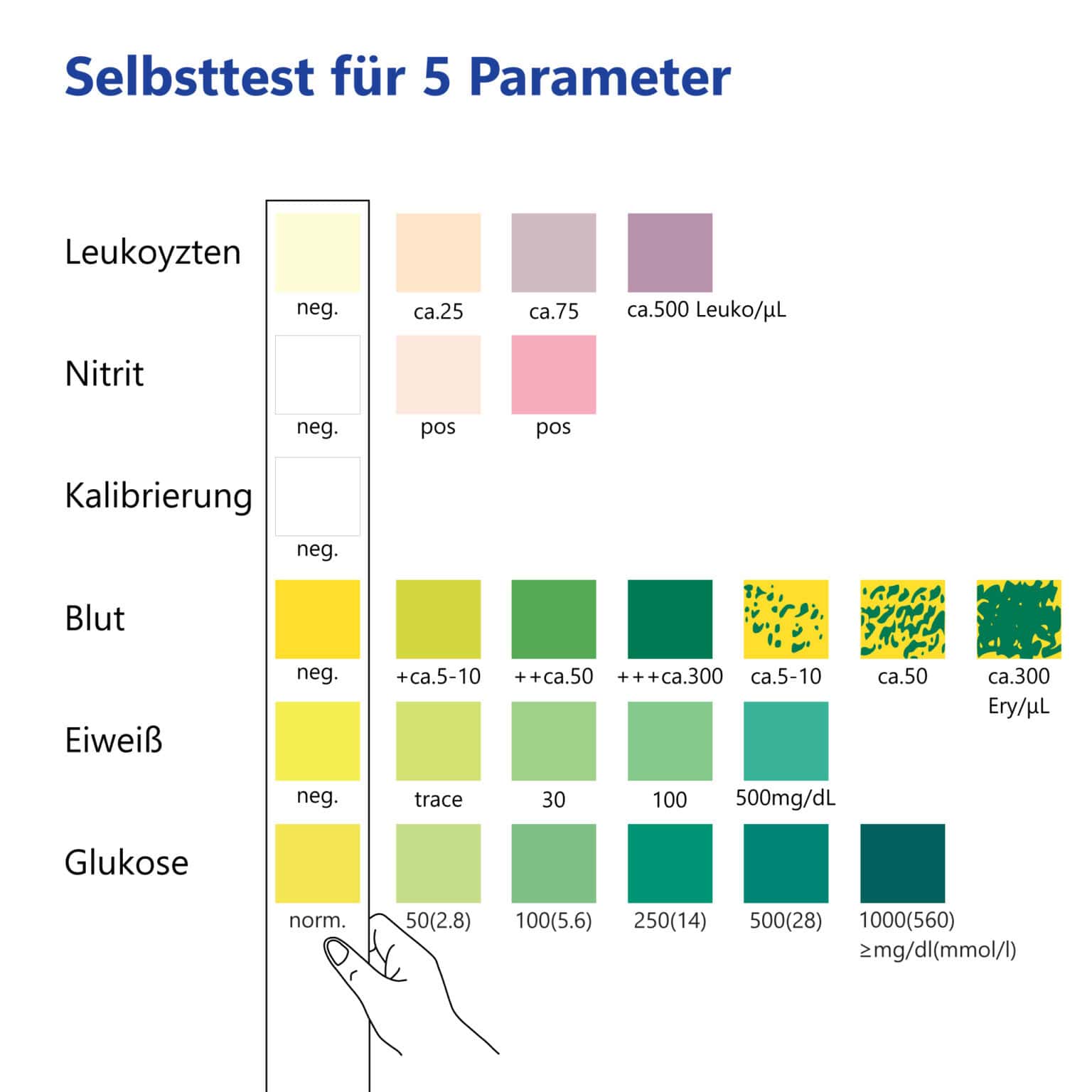 5 Parameter Urin Teststreifen 🩺- LuxmedIQ.de