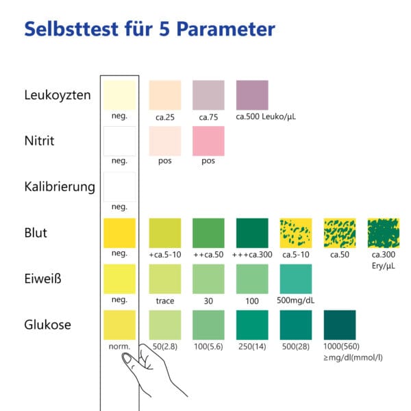 5 Parameter Urin Teststreifen 🩺- LuxmedIQ.de